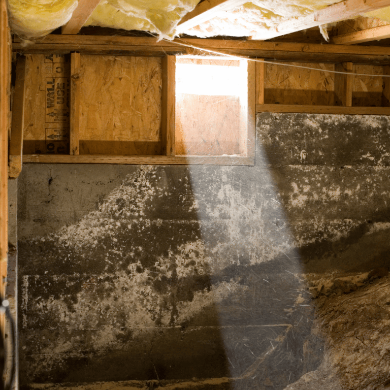 6 Meticulous Steps for Mold Removal in Crawl Spaces